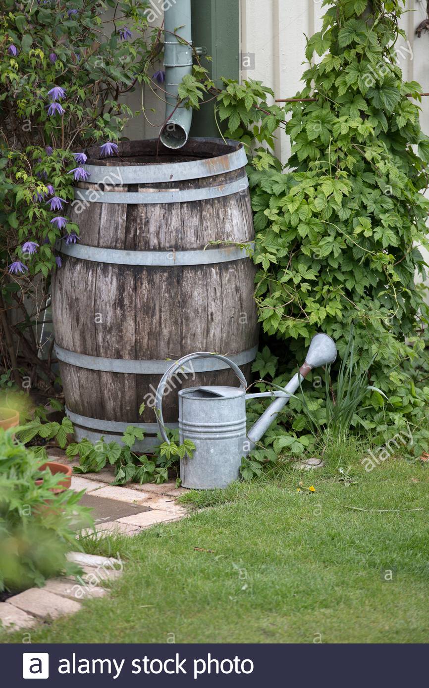 Garden Barrel High Resolution Stock Photography and Images - Alamy