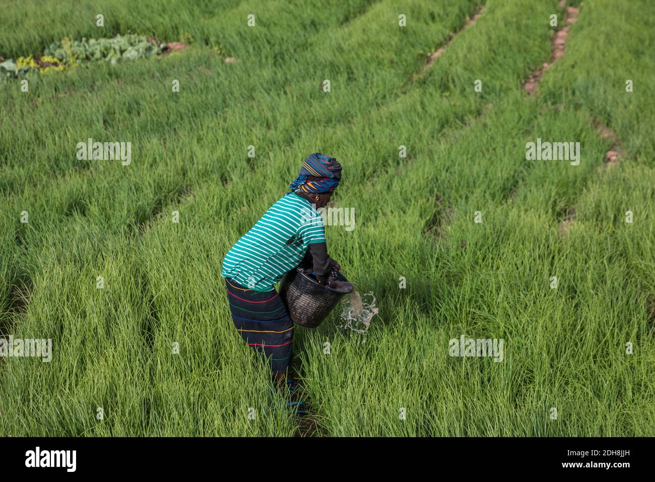 Mali crops hi-res stock photography and images - Alamy