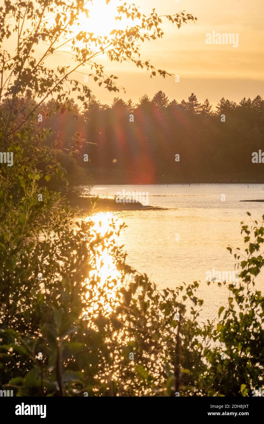 Panorama of a gorgeous sunset at a forest lake Stock Photo - Alamy