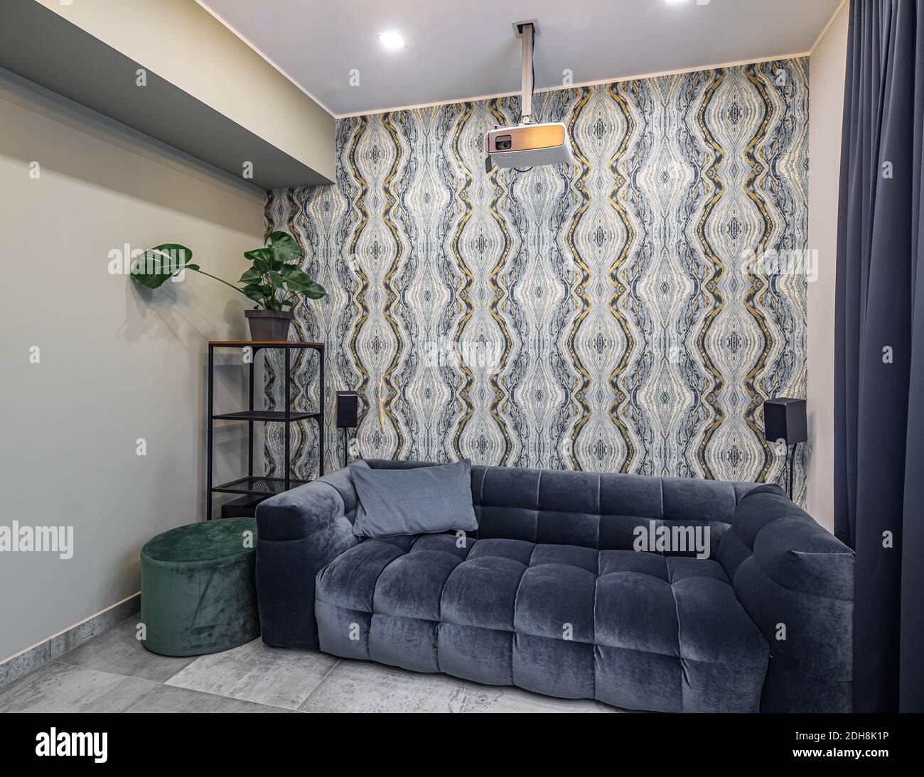 Modern interior of living room. Soft cozy couch. Green flower on shelf ...