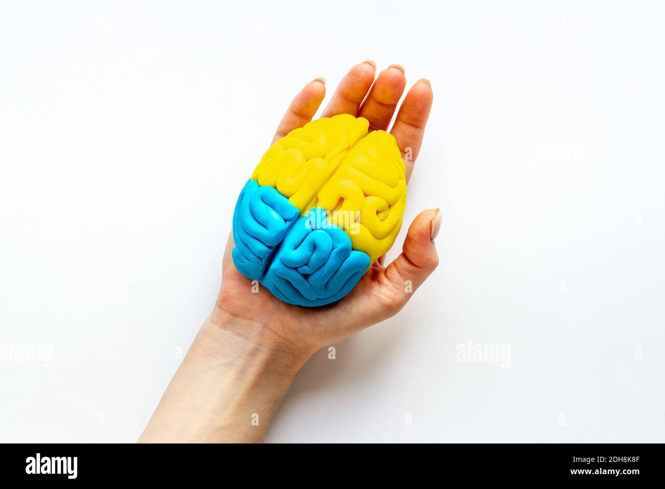 Idea concept. Use your brain. Model of clay in the hand, top view Stock ...