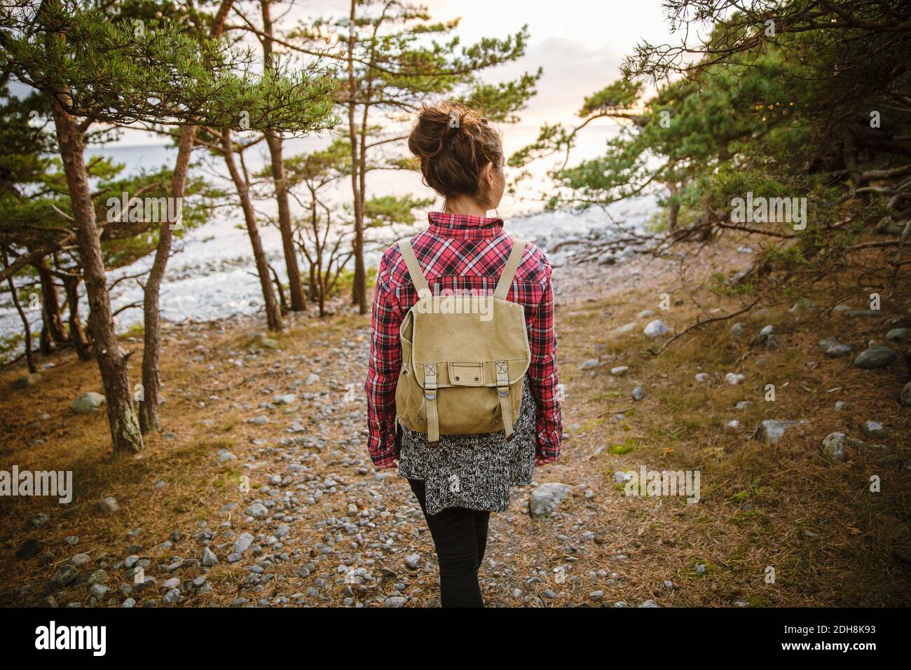 Rear view of hiker hi-res stock photography and images - Alamy