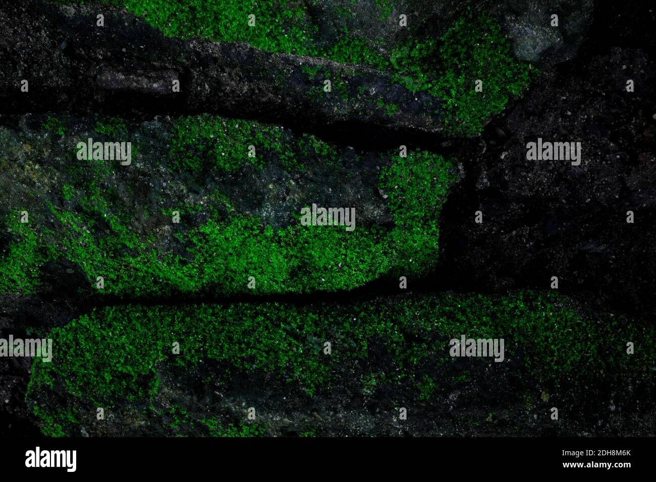 Creepy texture hi-res stock photography and images - Alamy