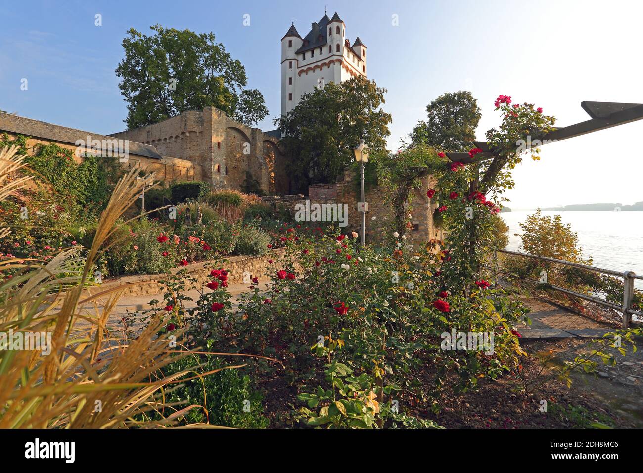 Eltville am hi-res stock photography and images - Alamy