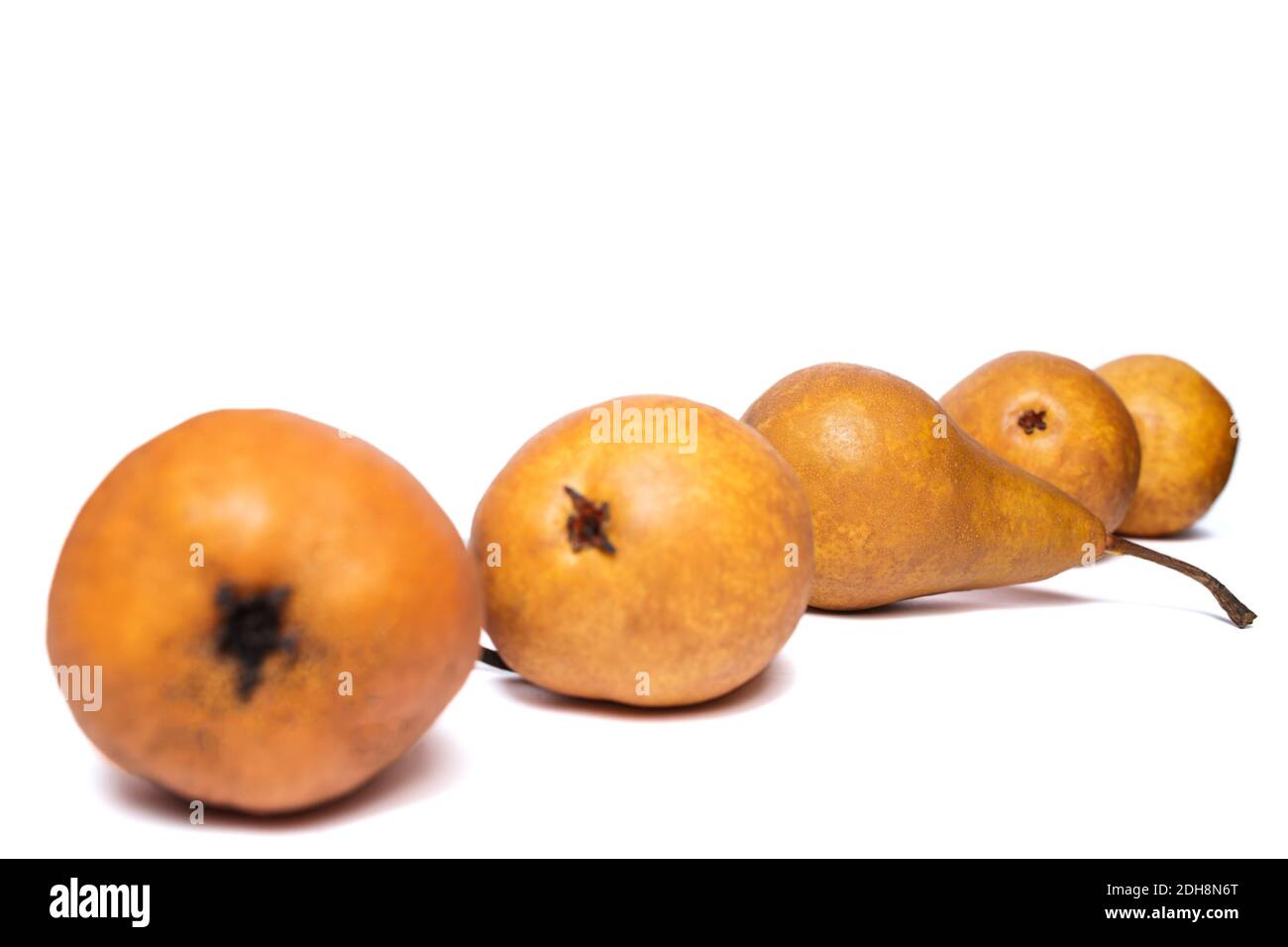 Ripe yellow pears on a line isolated on a white Stock Photo - Alamy