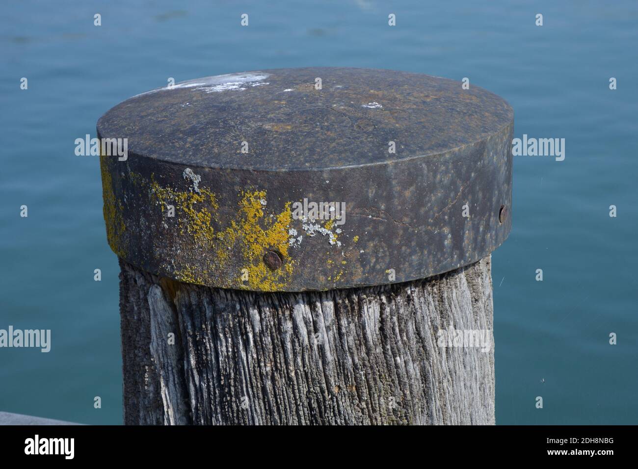 old and rusty wooden bollard surrounded by water lit by spring sun ...