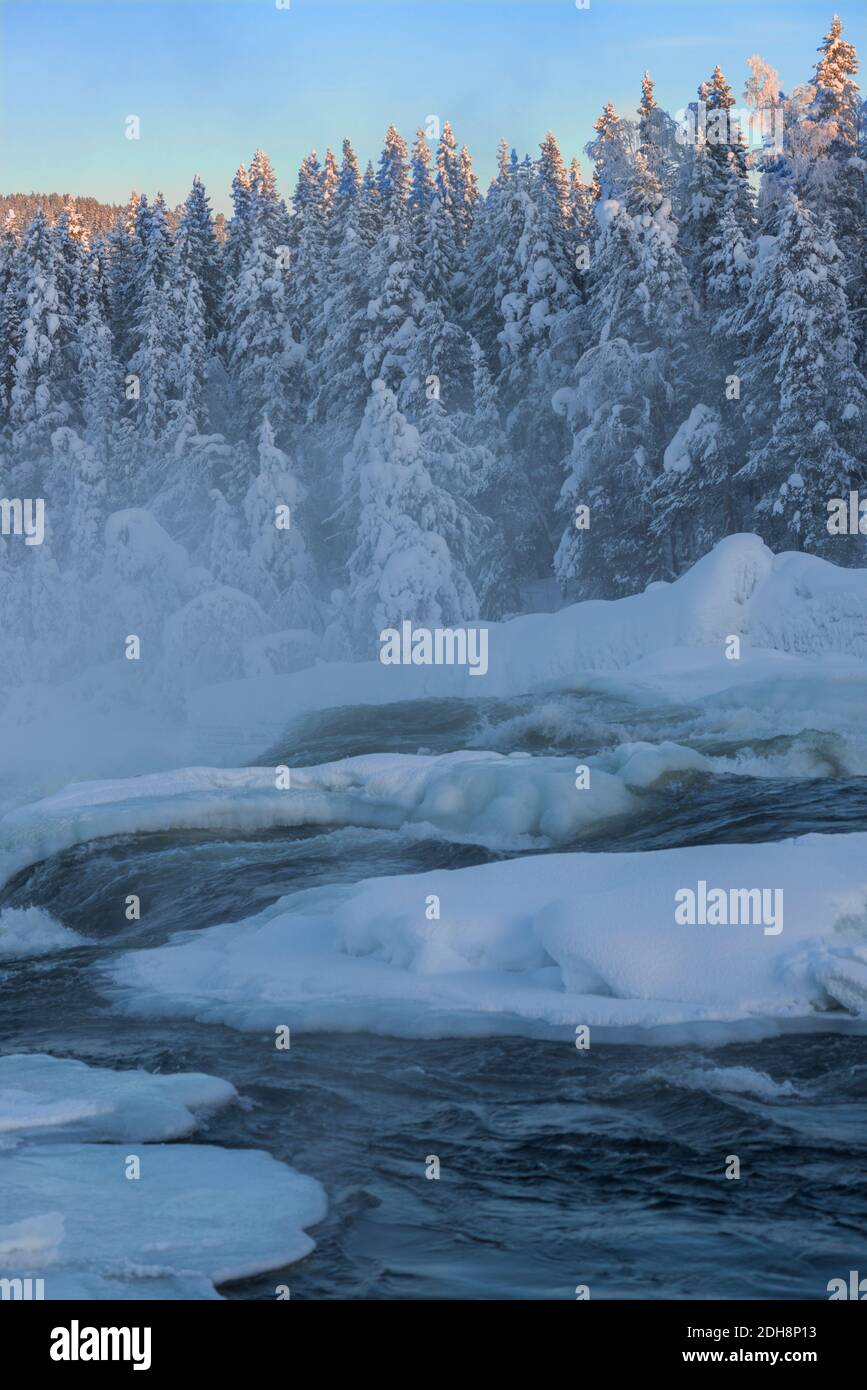 during winter in Lapland, Sweden, Norrbotten Stock Photo - Alamy