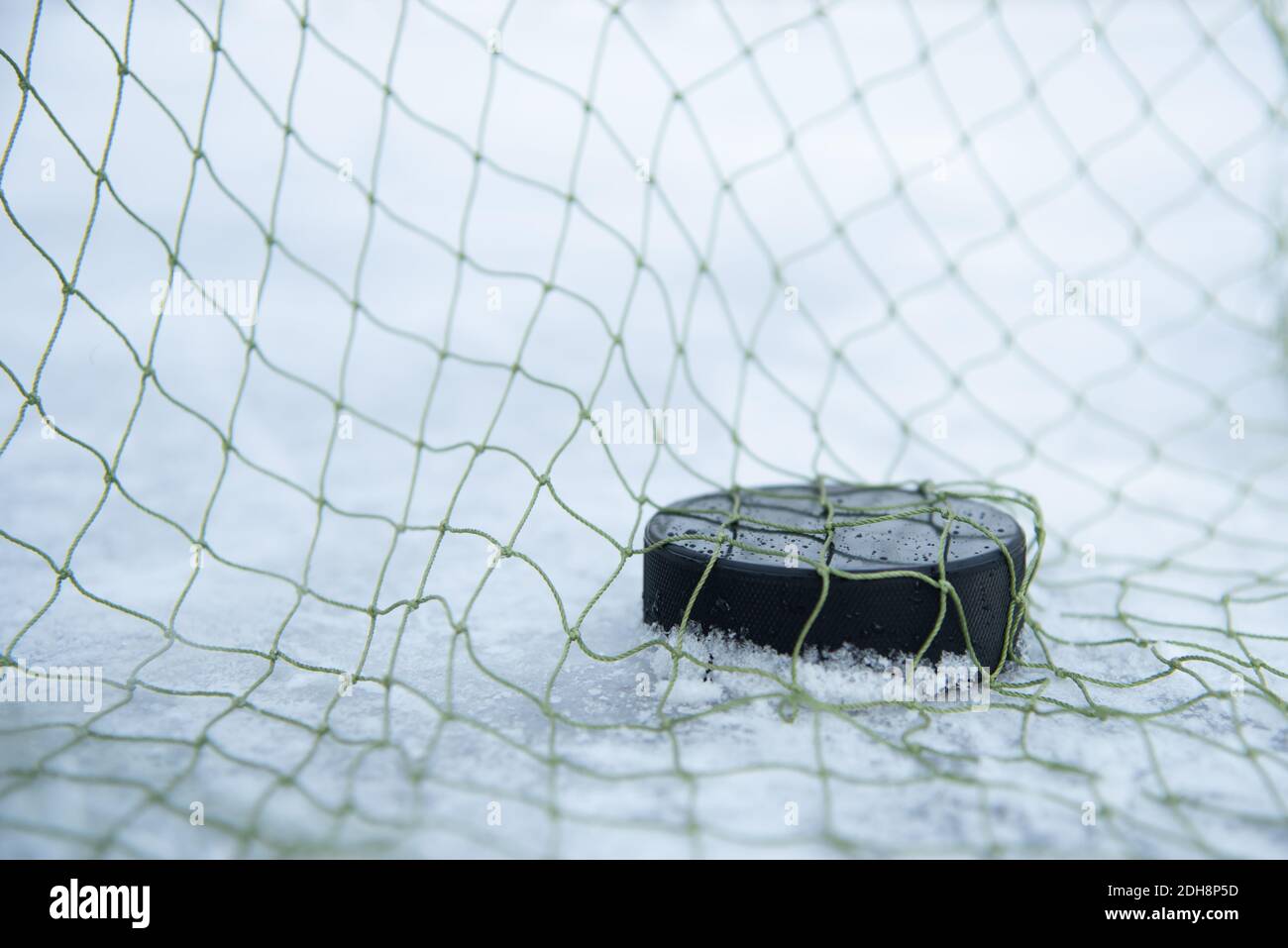 Hockey puck in goal at the stadium Stock Photo - Alamy
