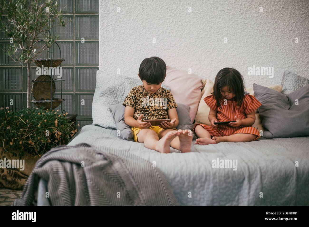 Sister with disability by sibling using smart phones while sitting on ...
