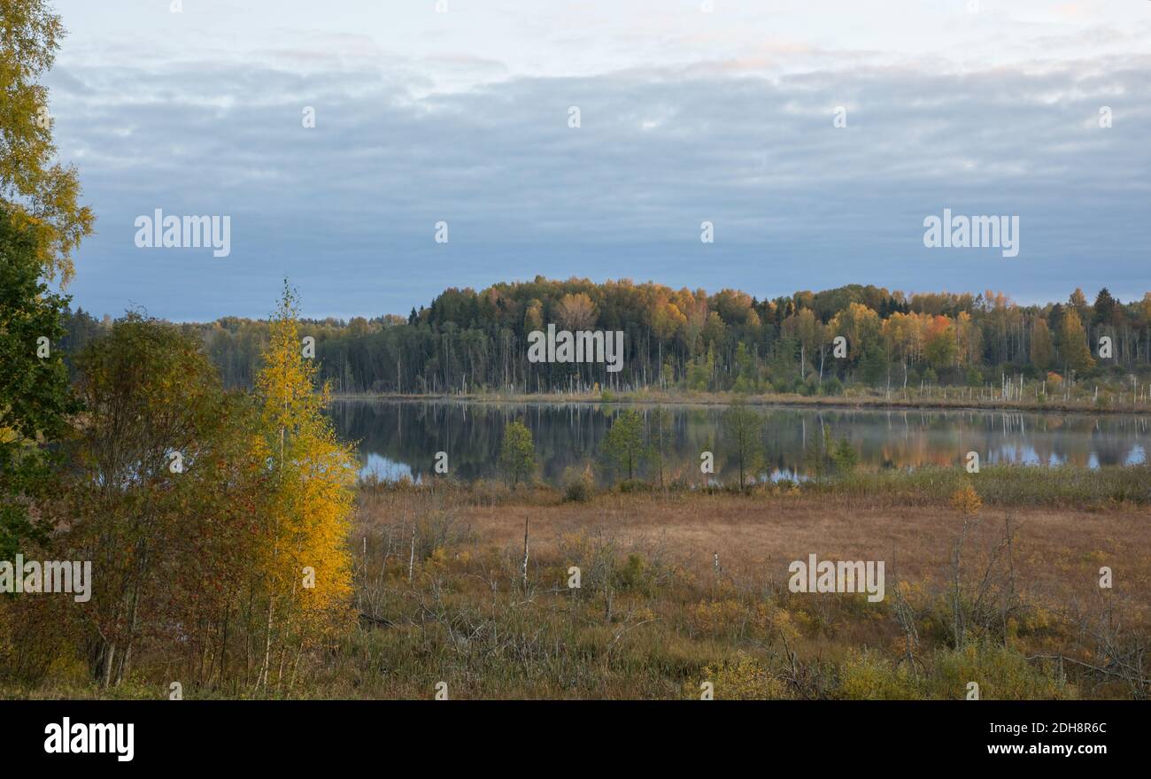 Beautiful tranquil mist clad natural lake surrounded by autumn colored ...