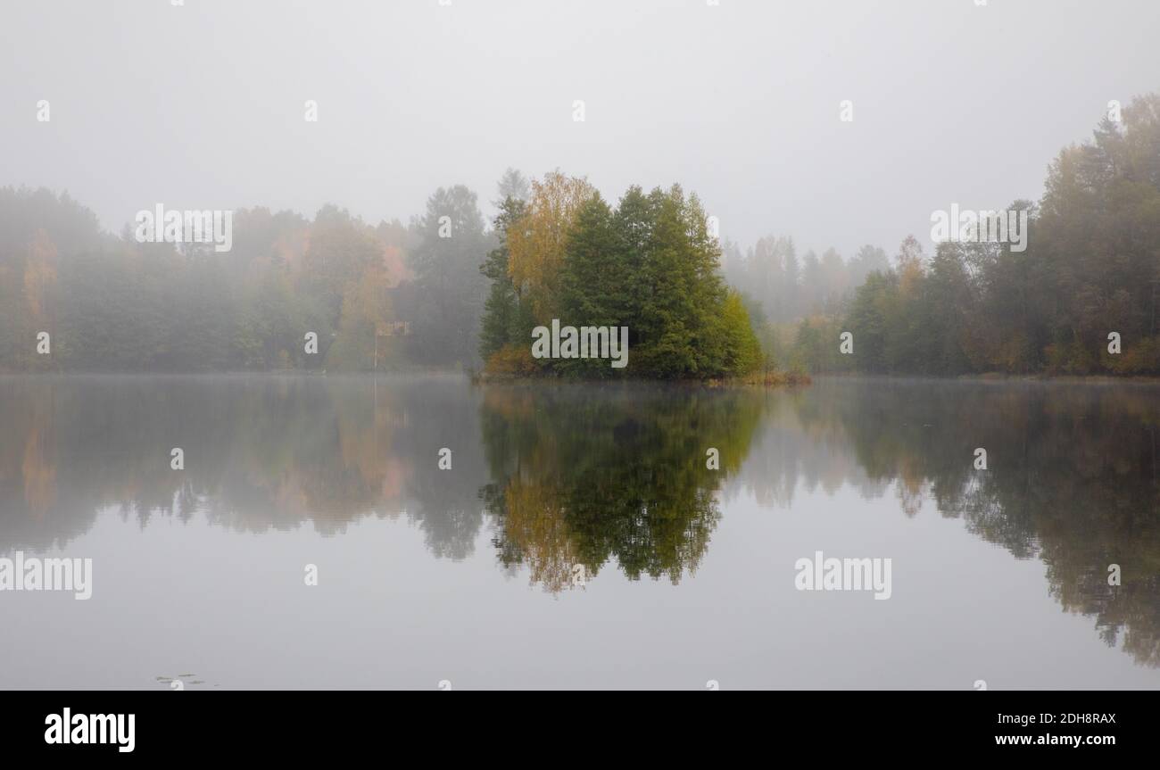 beautiful tranquil mist clad natural lake surrounded by autumn colored ...