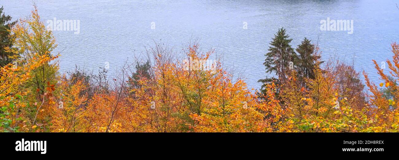 Lake and autumn colorful trees background Stock Photo - Alamy