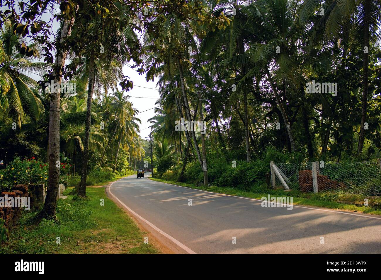 Goa, India: An auto rikshaw ( Tuk Tuk ) on turning road in a middle of ...