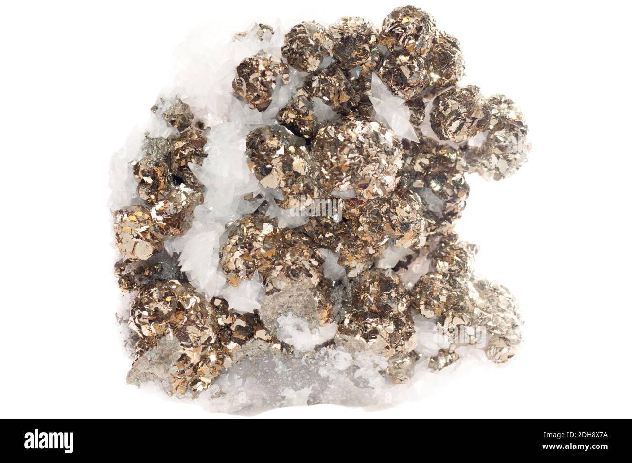 pyrite or fool's gold mineral sample in quartz Stock Photo - Alamy