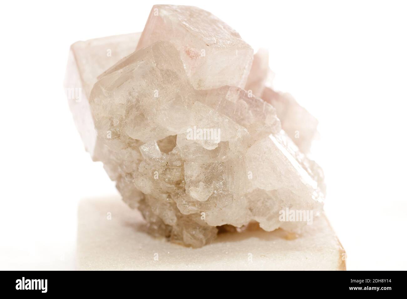 pinkish white halite crystal mineral sample, rock salt Stock Photo - Alamy