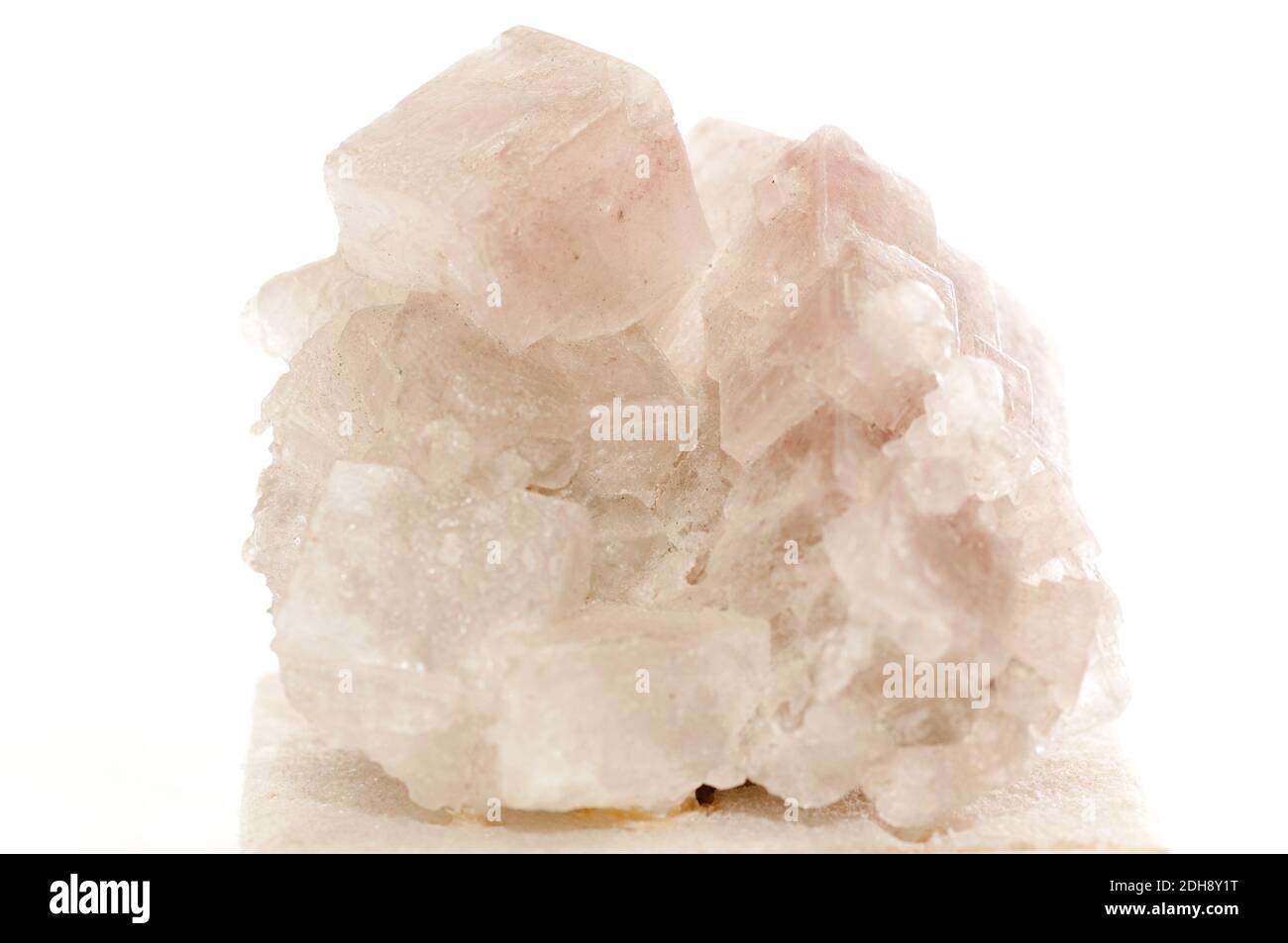 pinkish white halite crystal mineral sample, rock salt Stock Photo - Alamy