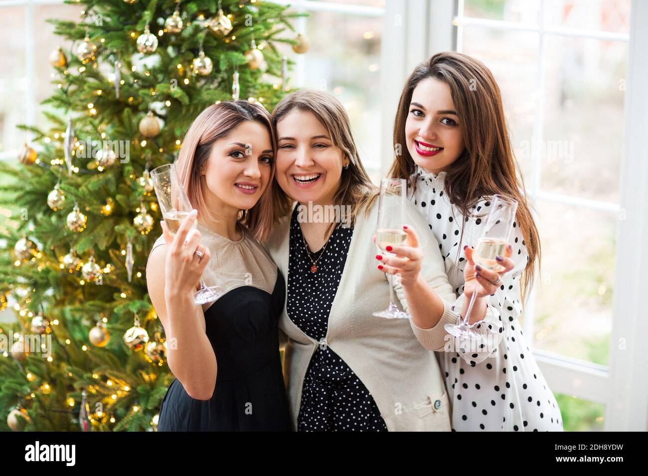 Women proposing toast during party Stock Photo - Alamy
