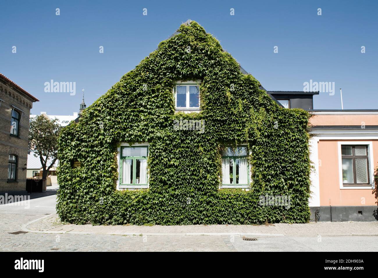 Ivy covered house hi-res stock photography and images - Alamy