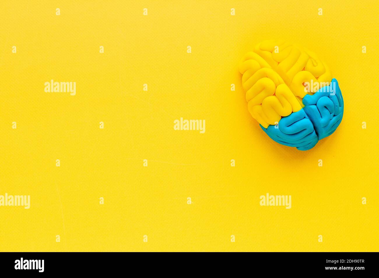 Human brain concept. Mental health, education and medical science ...