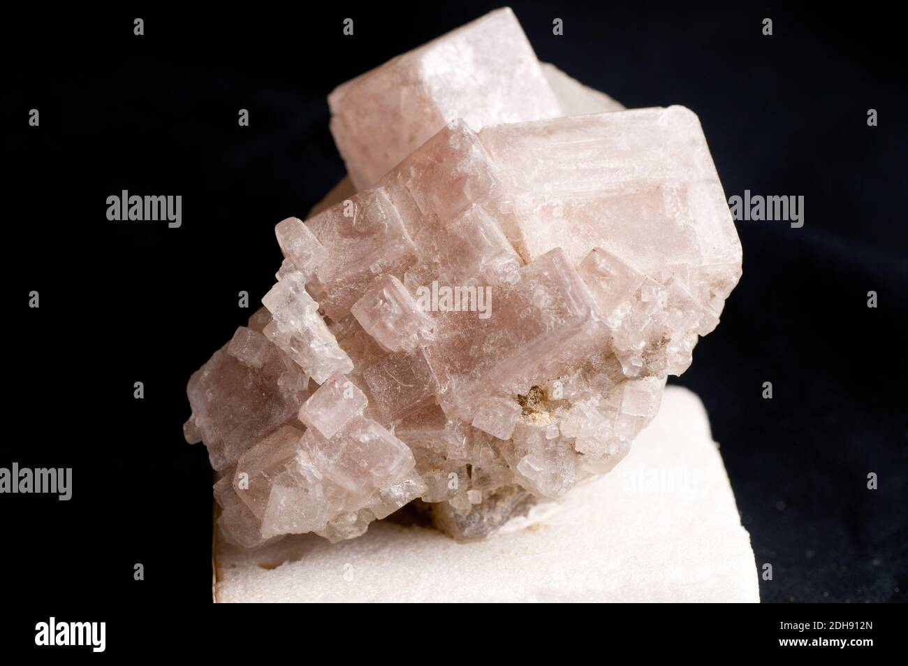 pinkish white halite crystal mineral sample, rock salt Stock Photo - Alamy