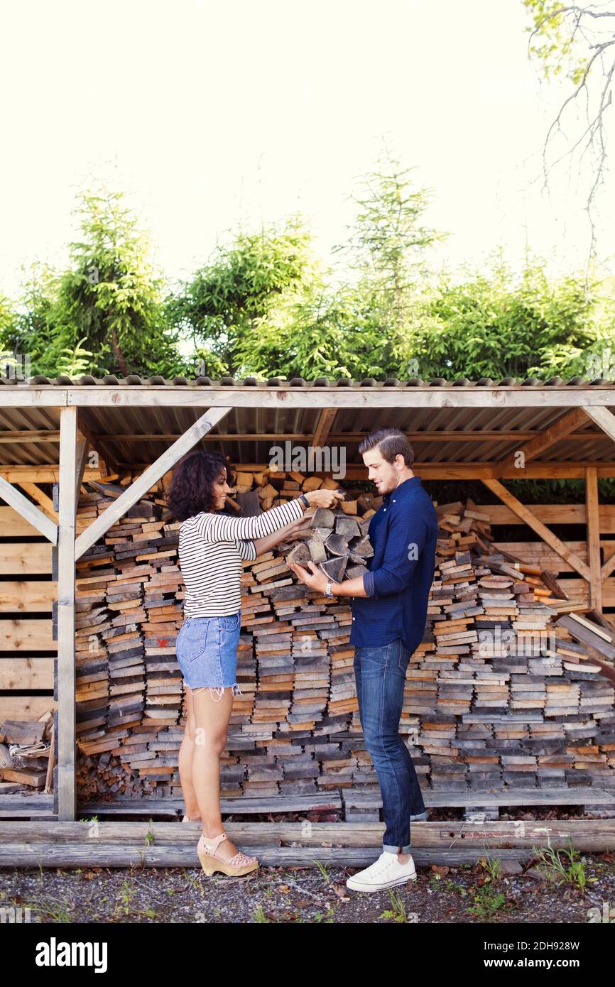 Side view of friends collecting stack of logs against shed Stock Photo ...