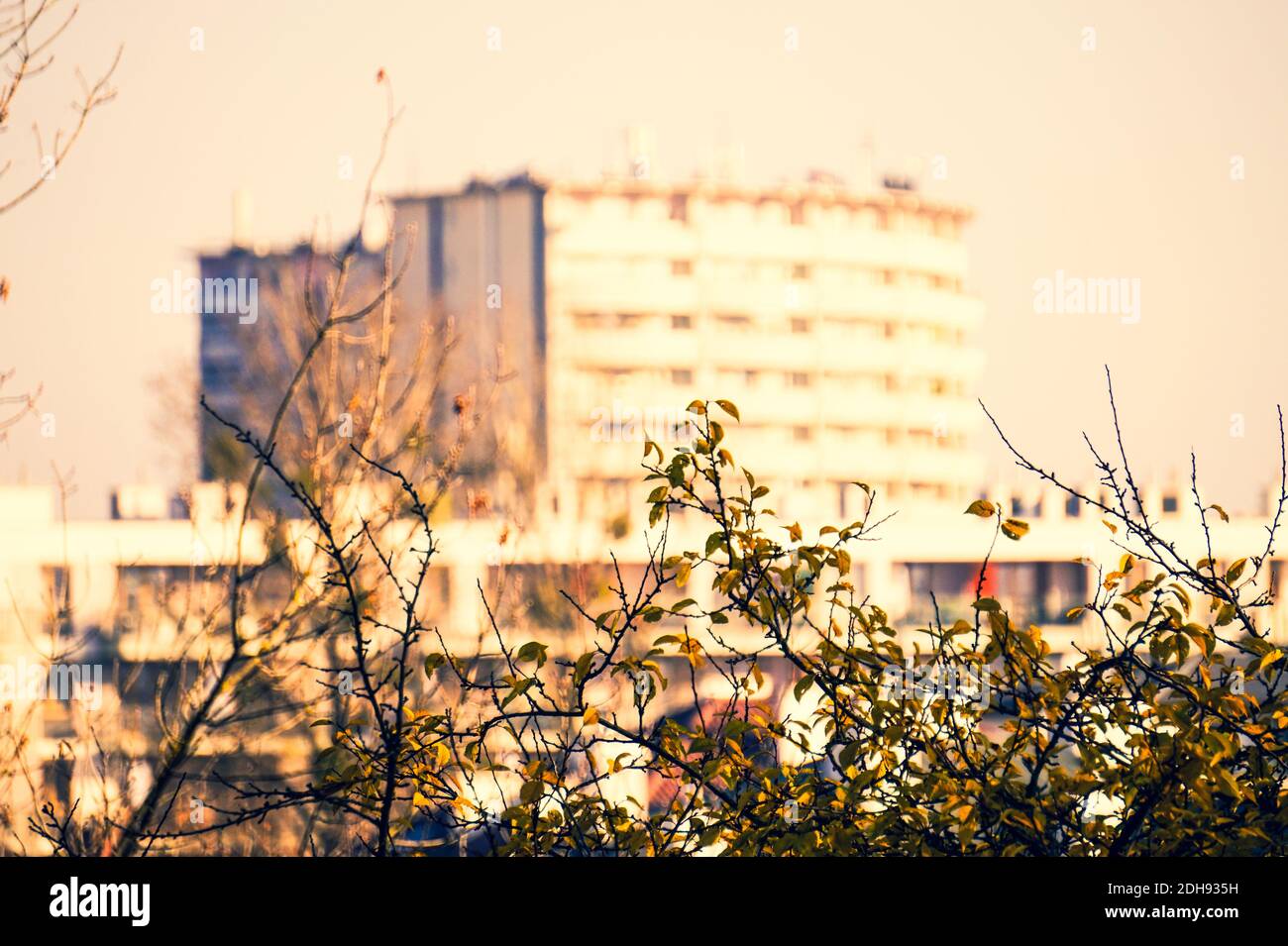 Buildings' roof in Warsaw, Poland - fall foliage Stock Photo - Alamy