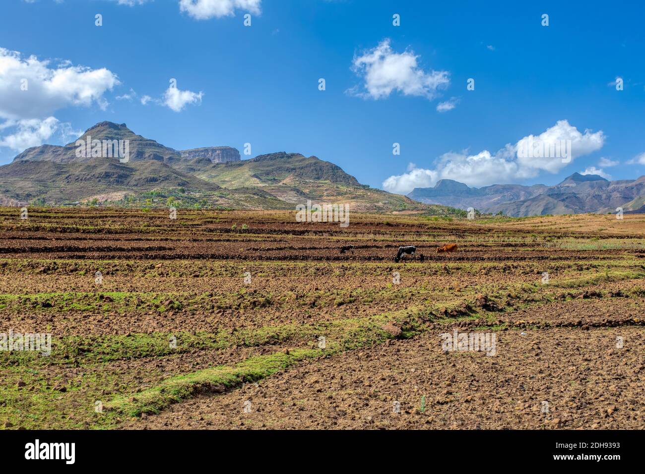 Ethiopian landscape, Ethiopia, Africa wilderness Stock Photo - Alamy