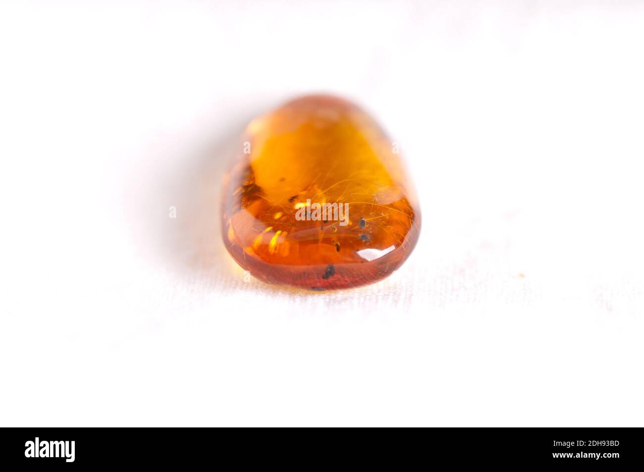 amber with insect fossillized inside the crystal, science Stock Photo ...