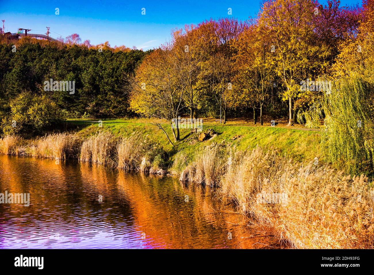 Lake in park - fall foliage, Warsaw, Poland Stock Photo - Alamy