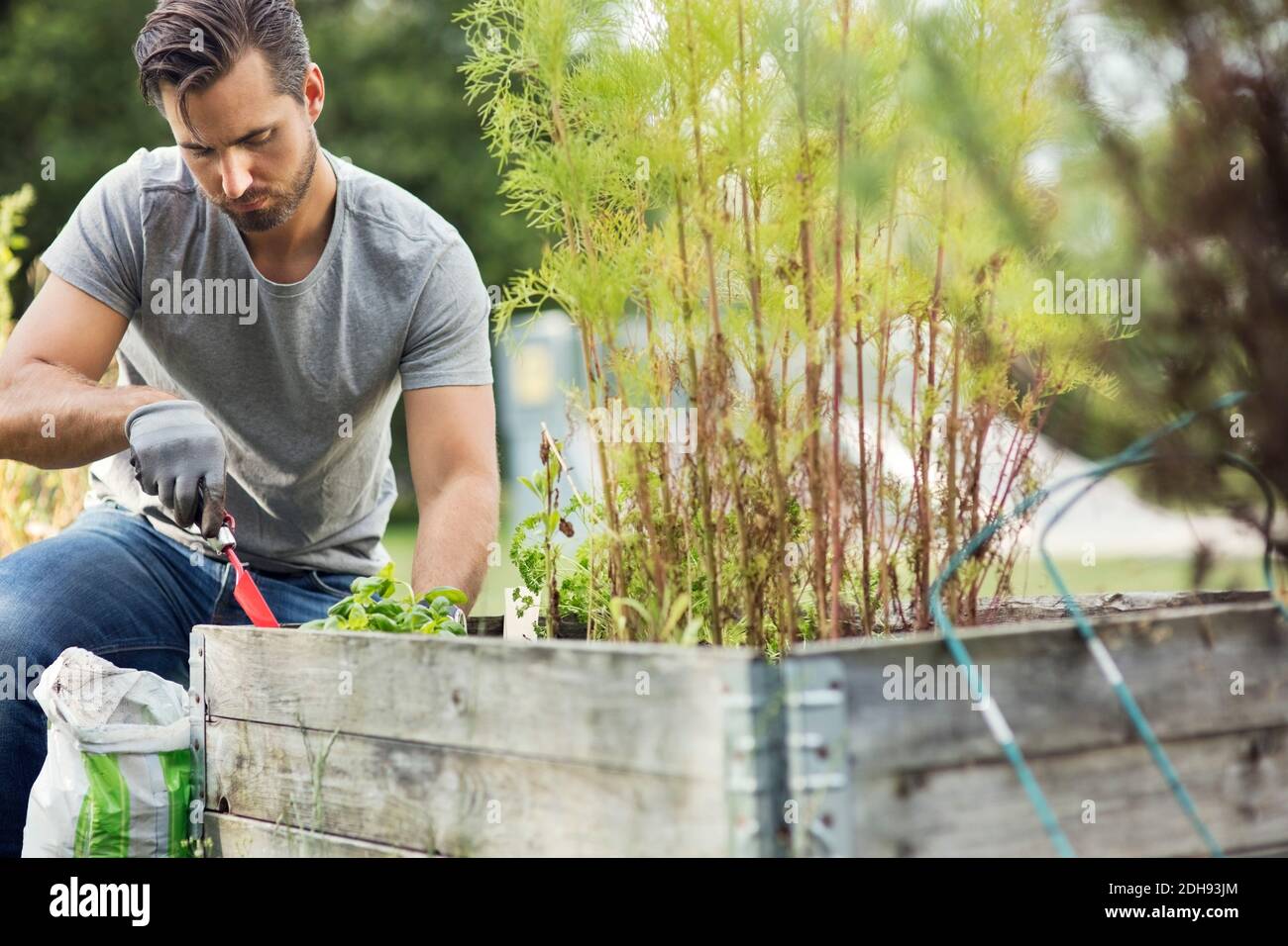 Planting in urban garden hi-res stock photography and images - Alamy