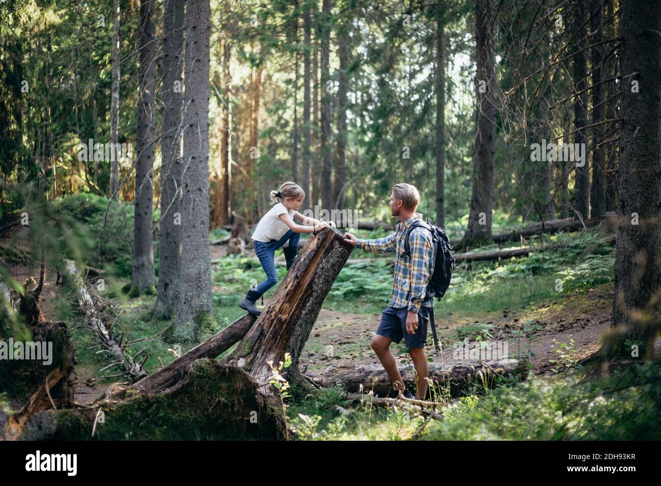 Side view of daughter climbing log by father in forest Stock Photo - Alamy
