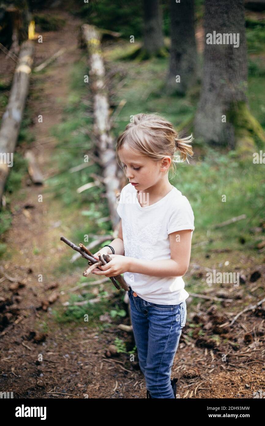 Girl holding sticks in forest Stock Photo - Alamy