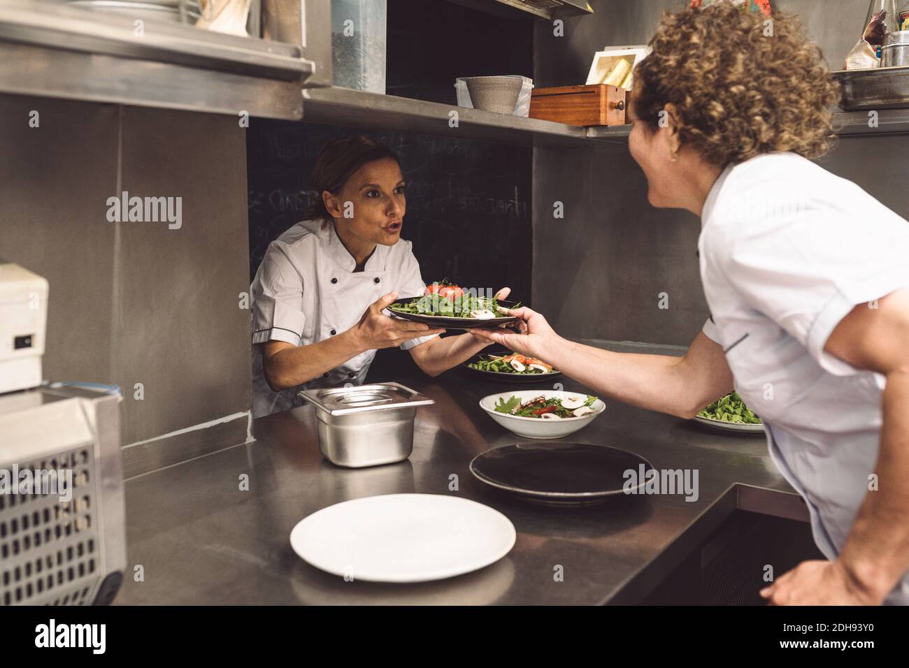 Female chef talking to coworker while giving food plate in commercial ...