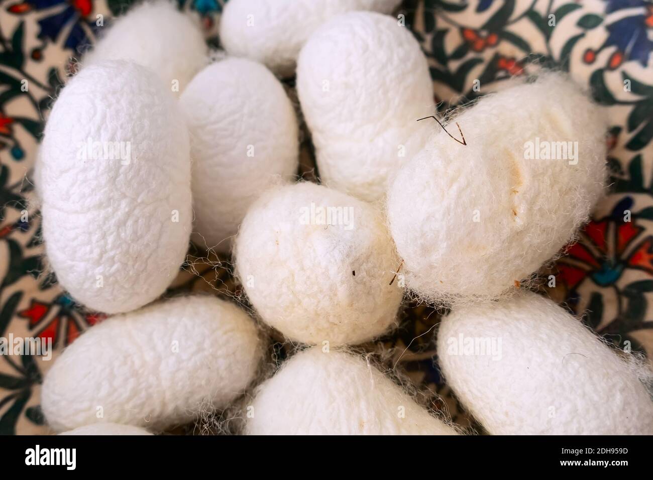 Silkworm cocoons natural source of silk Stock Photo - Alamy