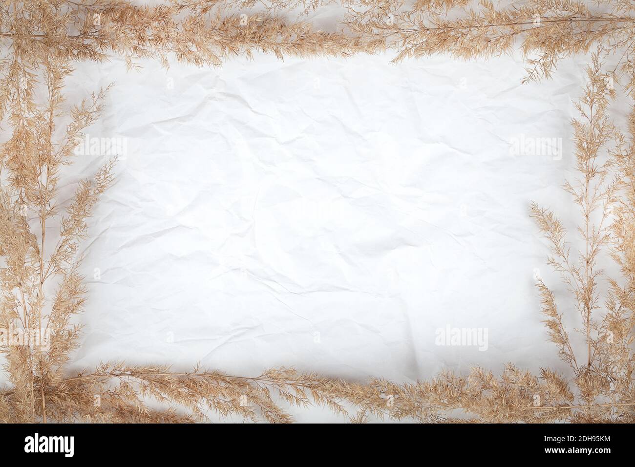 frame in form of dried flowers on white crumpled background.texture for ...