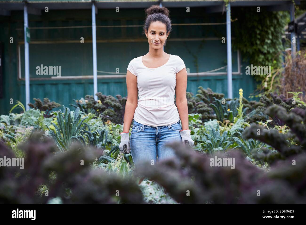 Portrait of gardener standing amidst plants Stock Photo - Alamy
