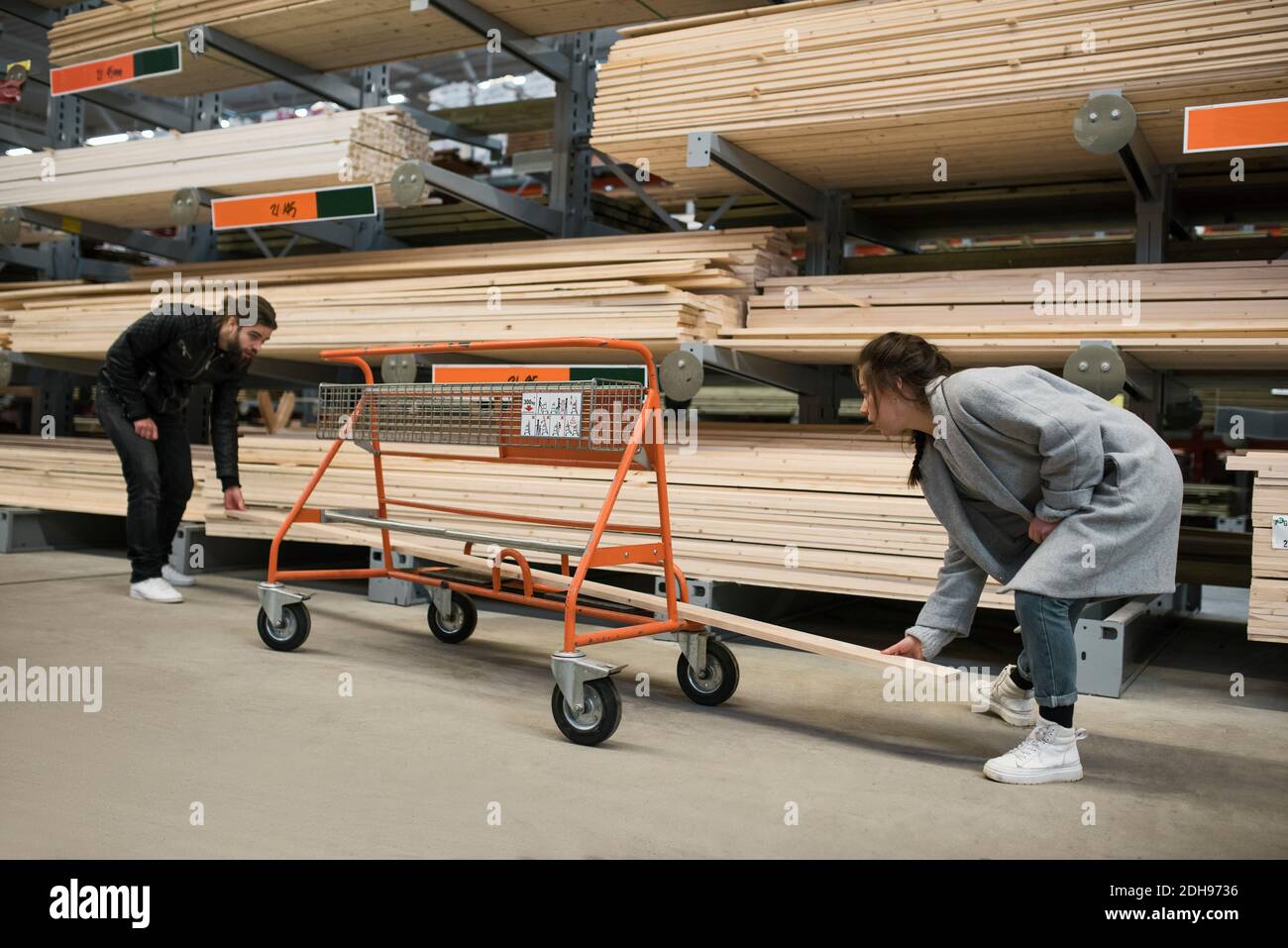 Couple placing wooden plank in trolley at hardware store Stock Photo ...