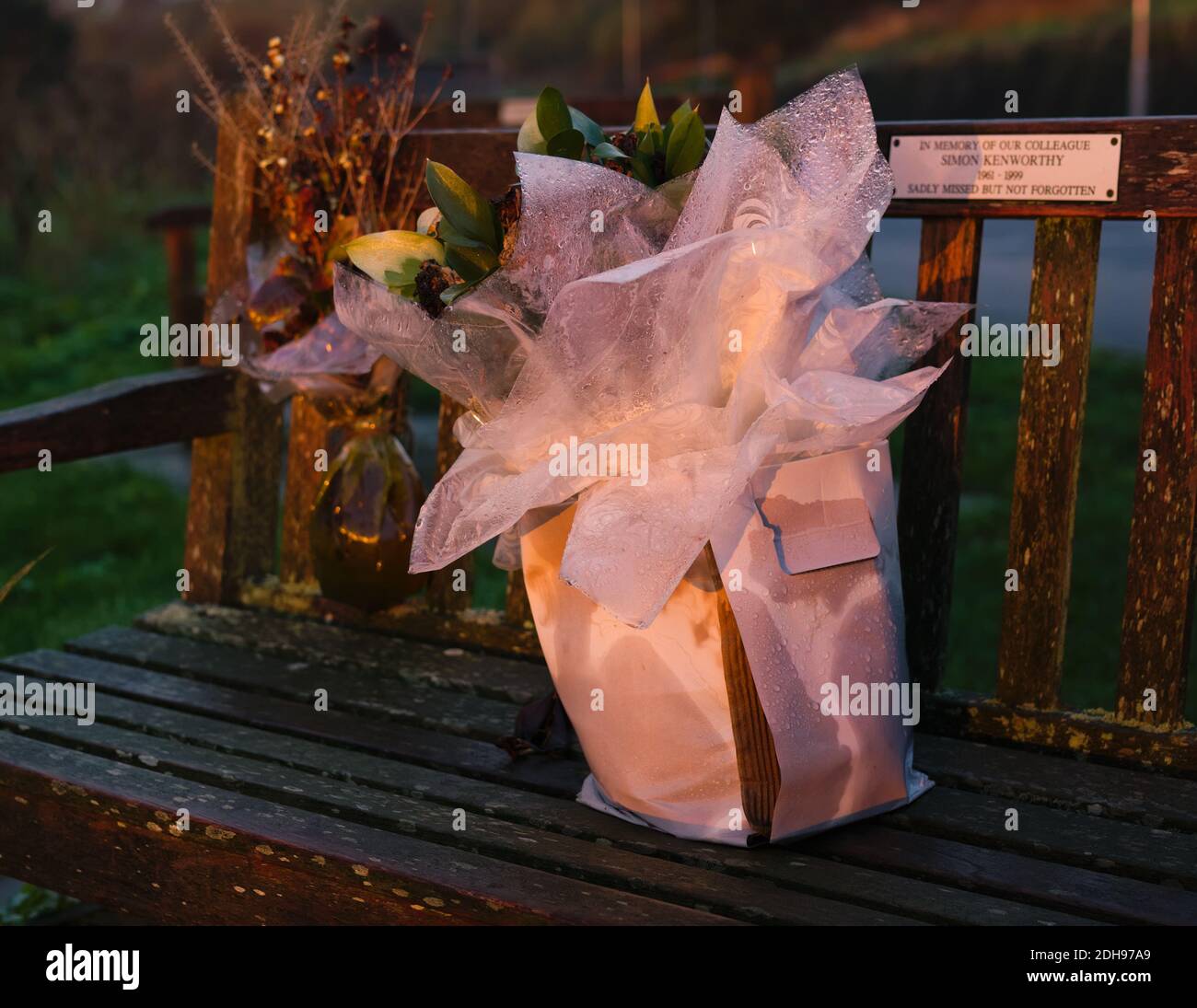 Amazing wrapping present hi-res stock photography and images - Alamy