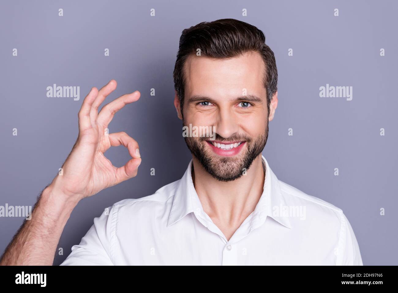 Portrait of positive cheerful confident man attorney investor economist ...