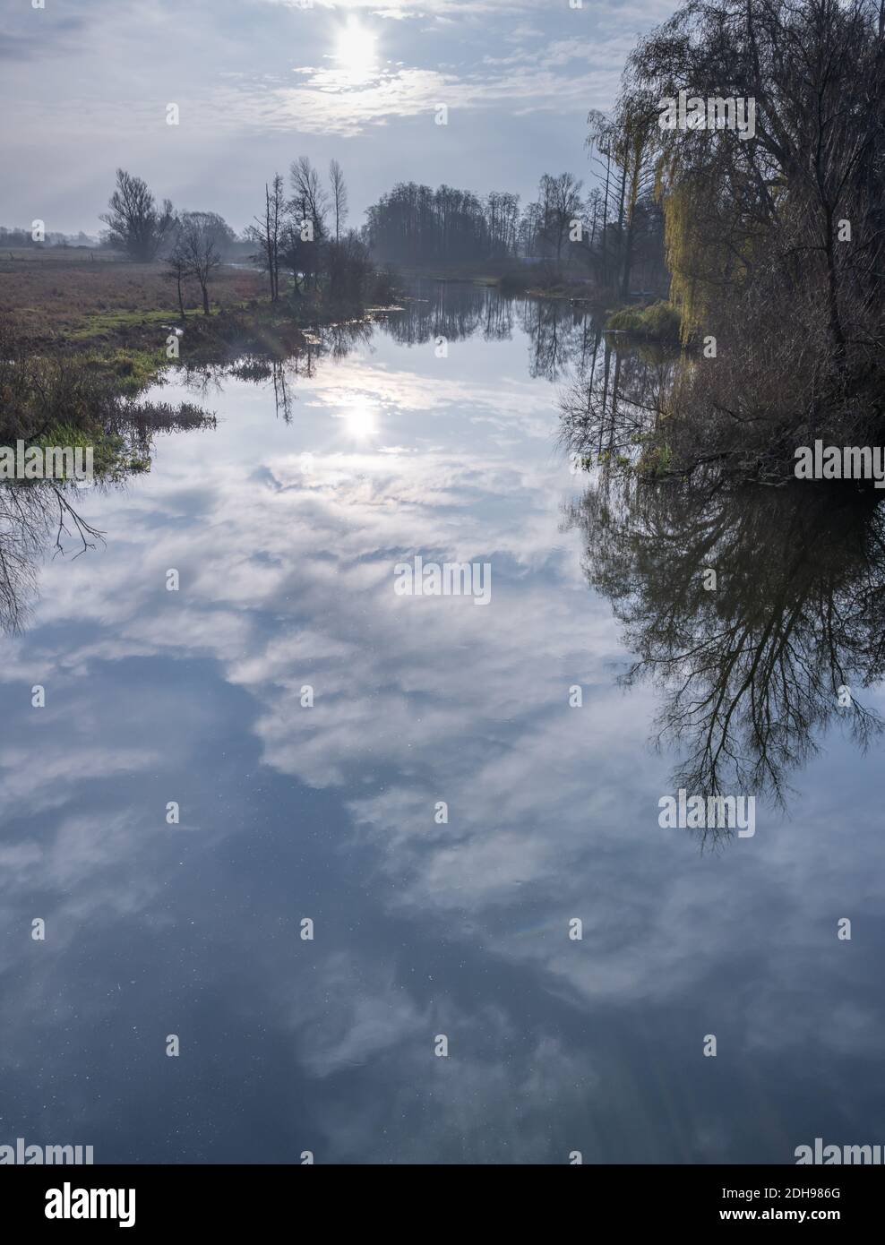 A backlit photo of tree and cloud reflections in a river. Beautiful ...