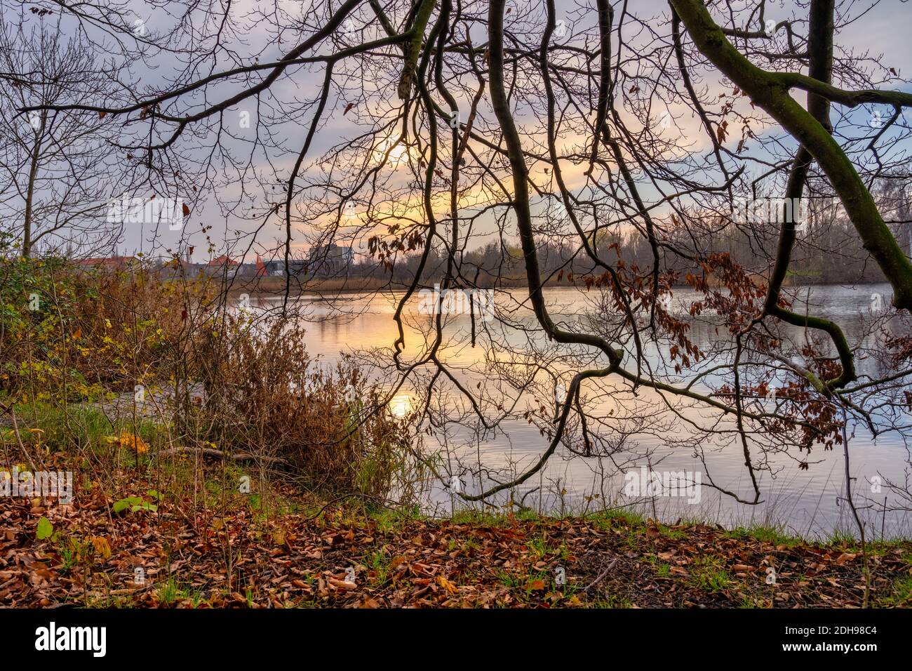 A beautiful sunset picture of a little lake. Photo from Lomma Beach ...