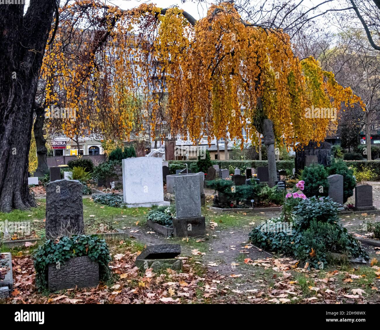 Berlin-Mitte, Oranienburg. First French Cemetery is a listed historical ...