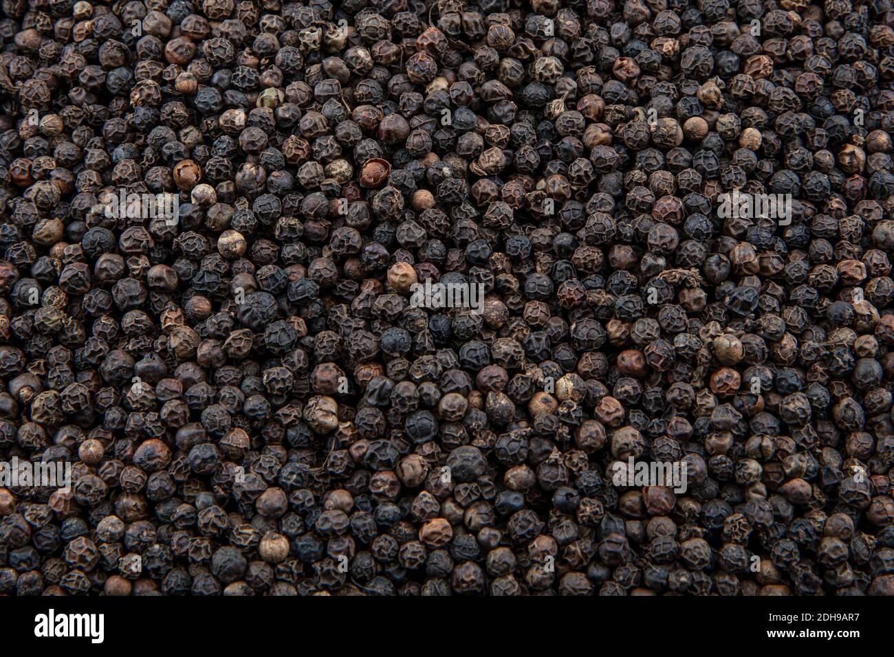 milled black pepper ,Black peppercorns and Black pepper Powder. the ...