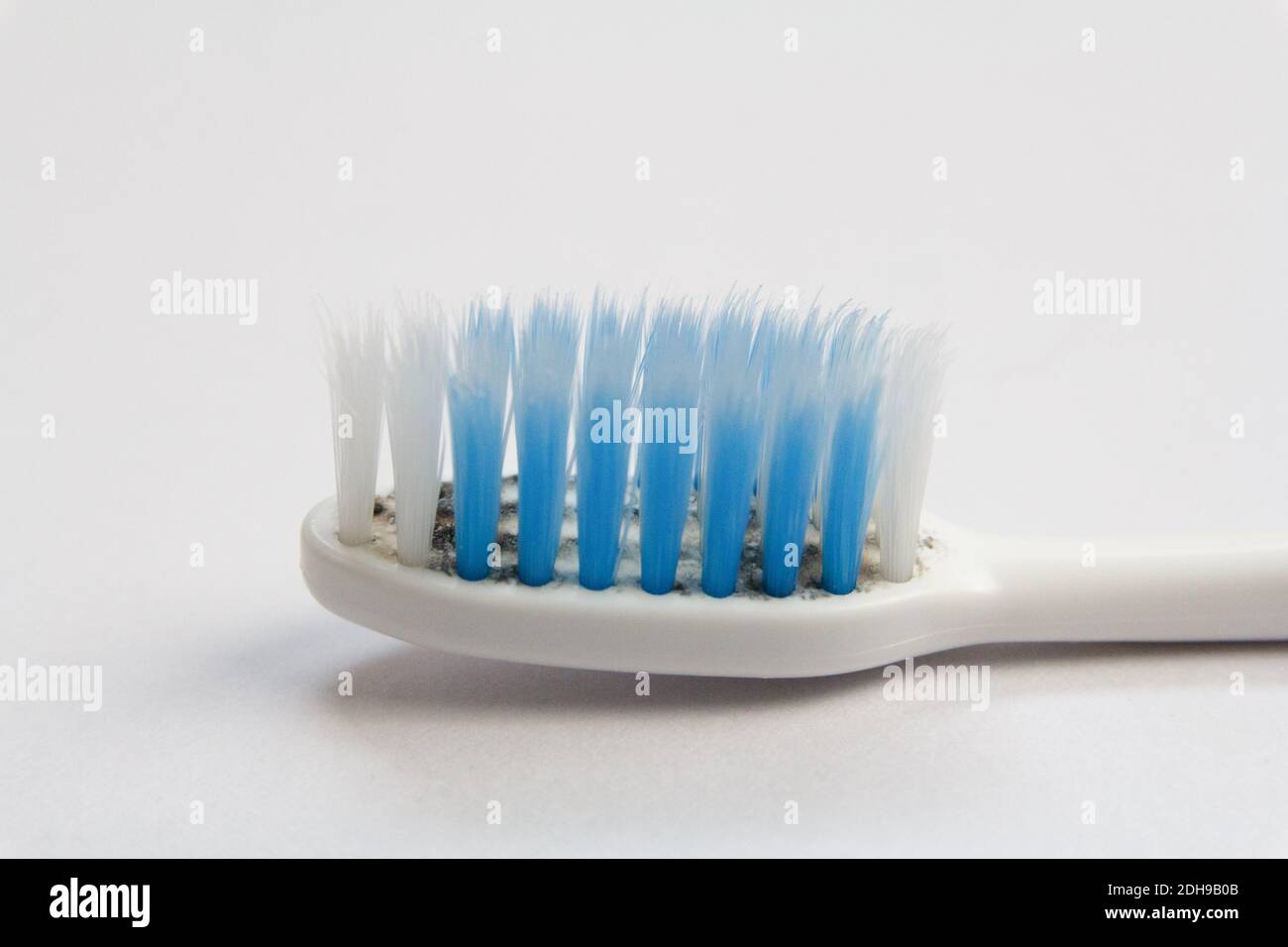 Close up old toothbrush and fungus isolated on white background Stock ...