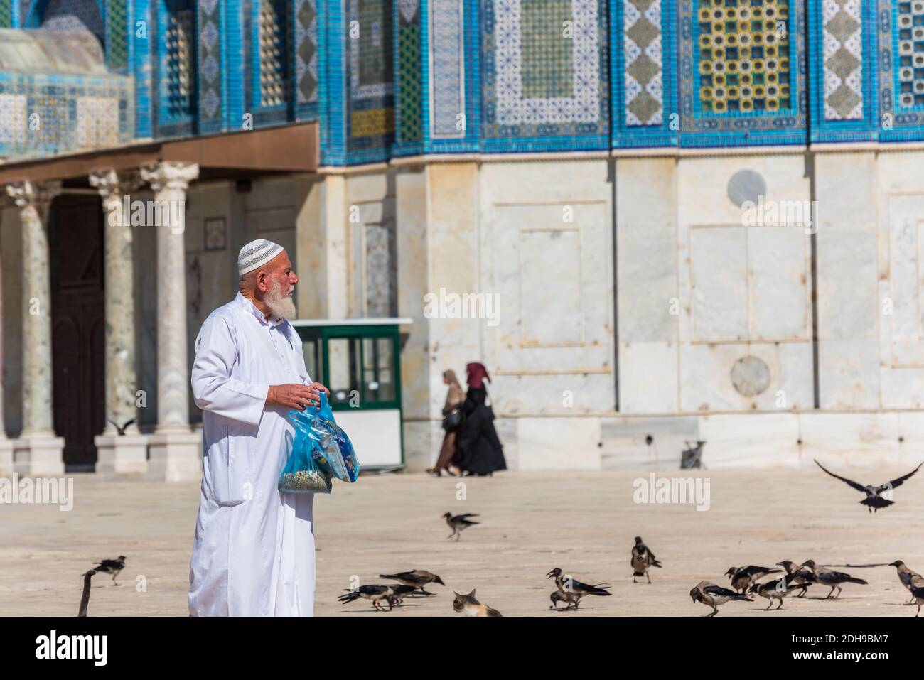 An old imam wearing white arabian gowns and feeding birds and cats at ...