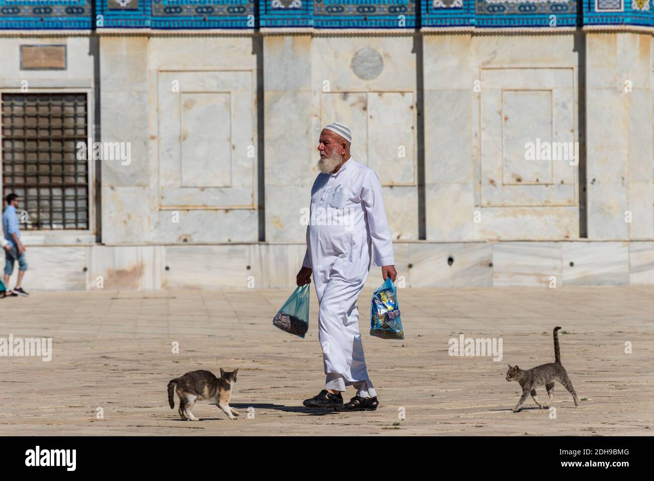 An old imam wearing white clothes and two cats at the Dome of the Rock ...
