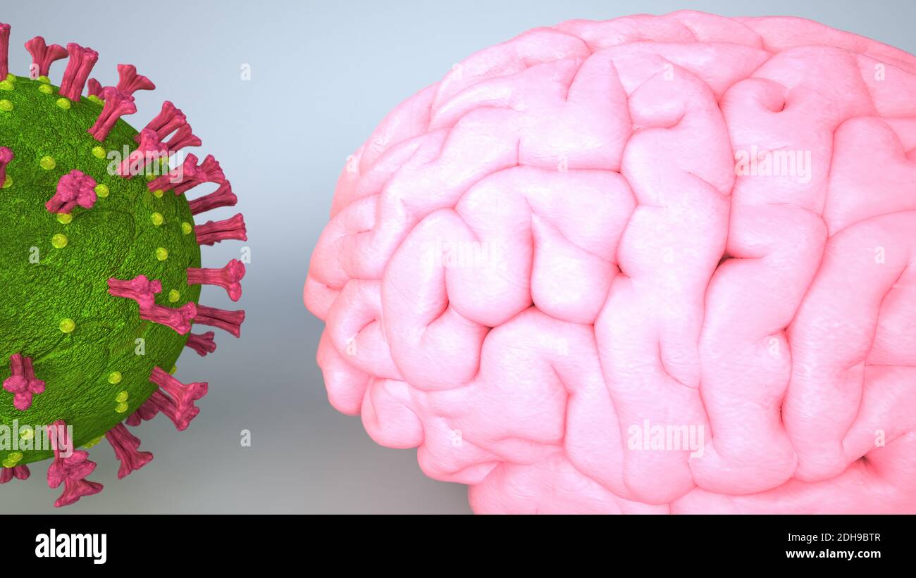 Coronavirus attacks the brain Stock Photo - Alamy