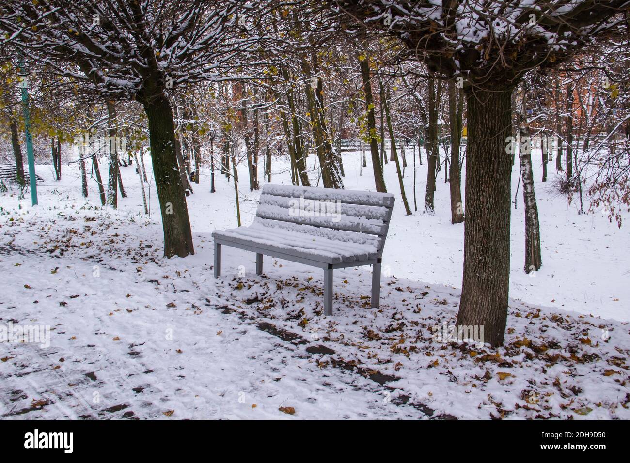 A lonely bench in the snow in the park Stock Photo - Alamy
