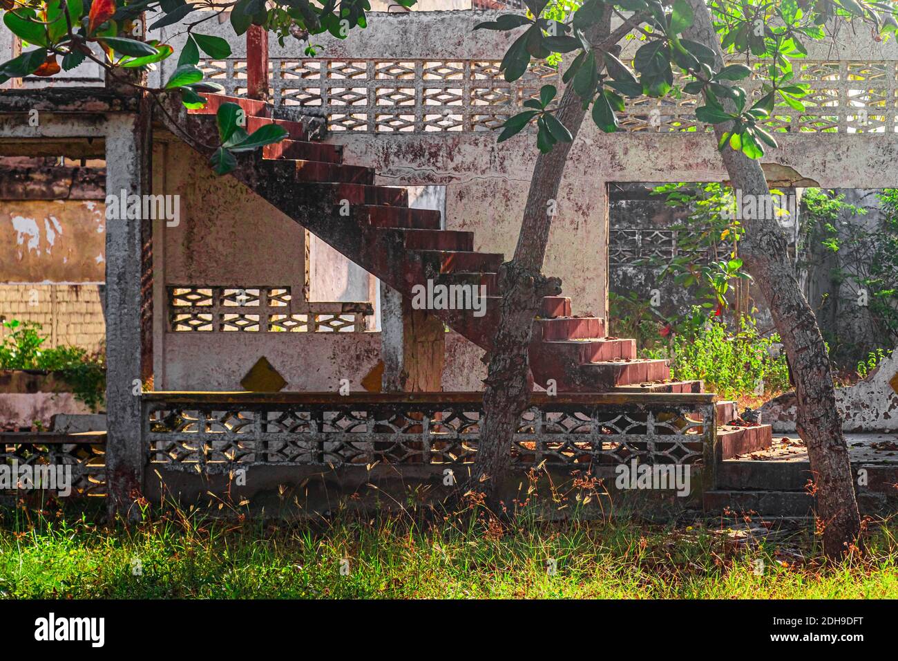 Nature is growing again after humans abandoned a construction and now ...