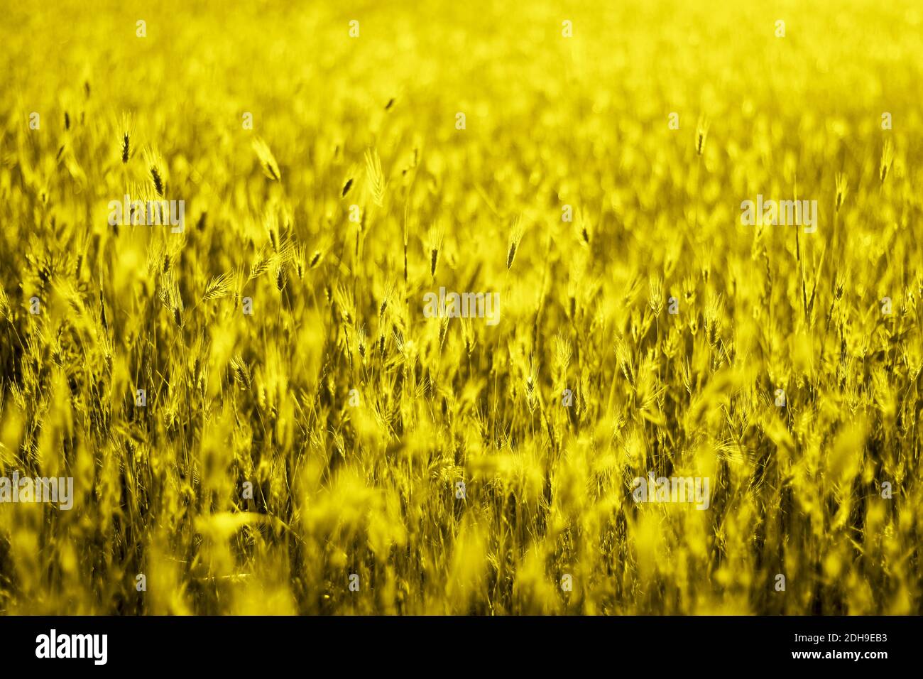 Sustainable Yield High Resolution Stock Photography and Images - Alamy